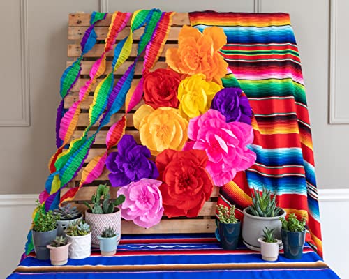 Riles & Bash Fiesta Streamer Backdrop with Crepe Paper Flowers and Ruffled Streamers (Fiesta)