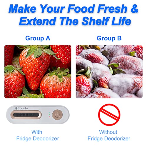 SOPURIA Fridge Deodorizer Portable Refrigerator Freshener Mini Odor Eliminator for Refrigerators, Closets, Toilets, Car, Pet Home and Small Confined Spaces