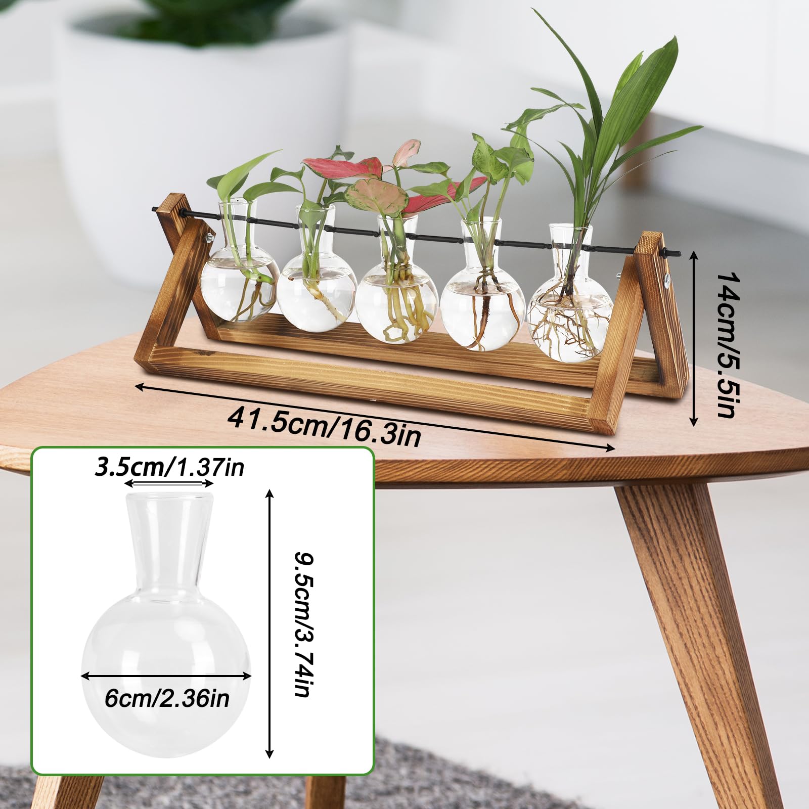 Plant Terrarium, Plant Propagation Stations with Wooden Stand, Gift for Women, Office Decoration - 5 Bulb Vase
