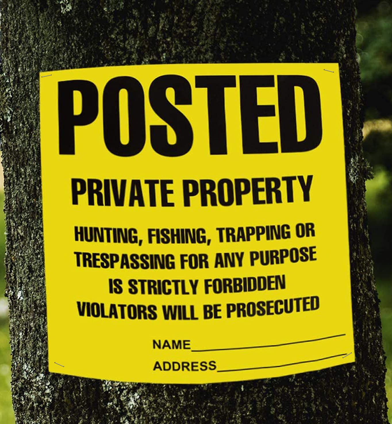 Posted Signs No Trespassing No hunting signs, (100 Pack) Posted Signs No Hunting or Trespassing Signs, Heavy Duty, Weather Resistant, 11” x 11" Posted Signs Yellow