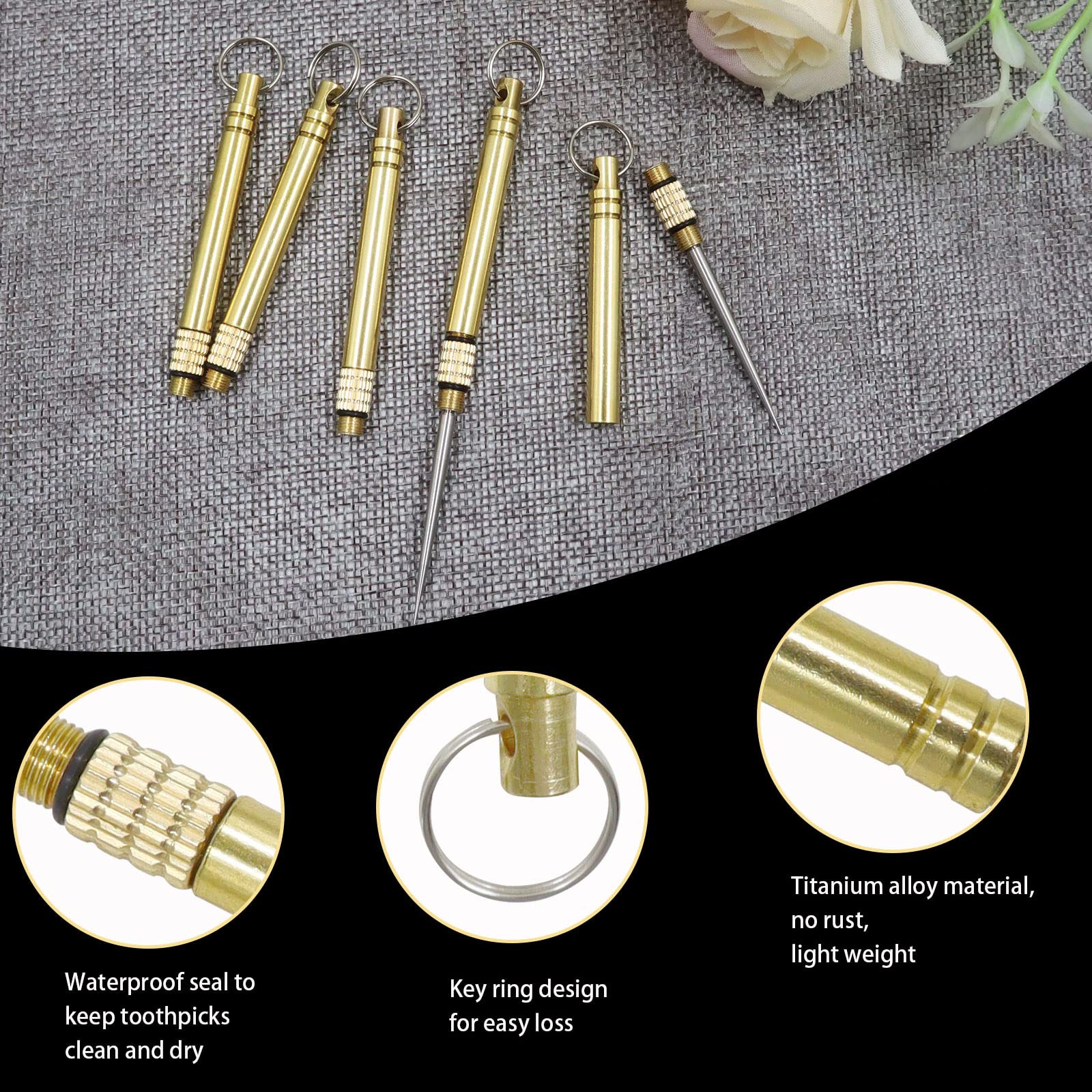Modixun 10pcs Portable Titanium Toothpicks, Pocket Travel Toothpicks, Reusable Toothpicks, Metal Toothpick Holder with Key Ring, Fruit Sticks for Outdoor Picnic