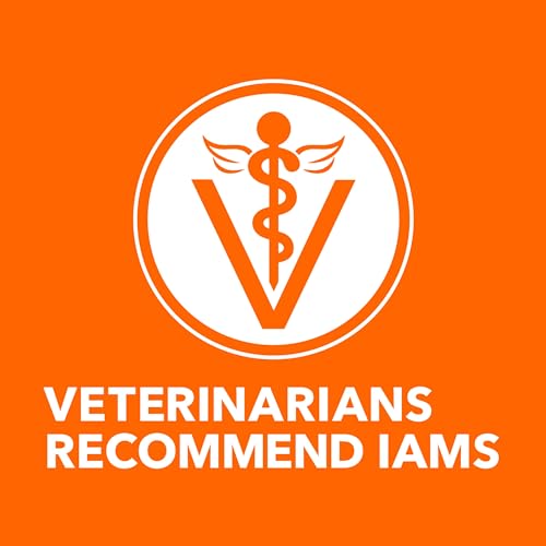 IAMS Proactive Health Adult Sensitive Digestion & Skin Dry Cat Food with Turkey, 3 lb. Bag