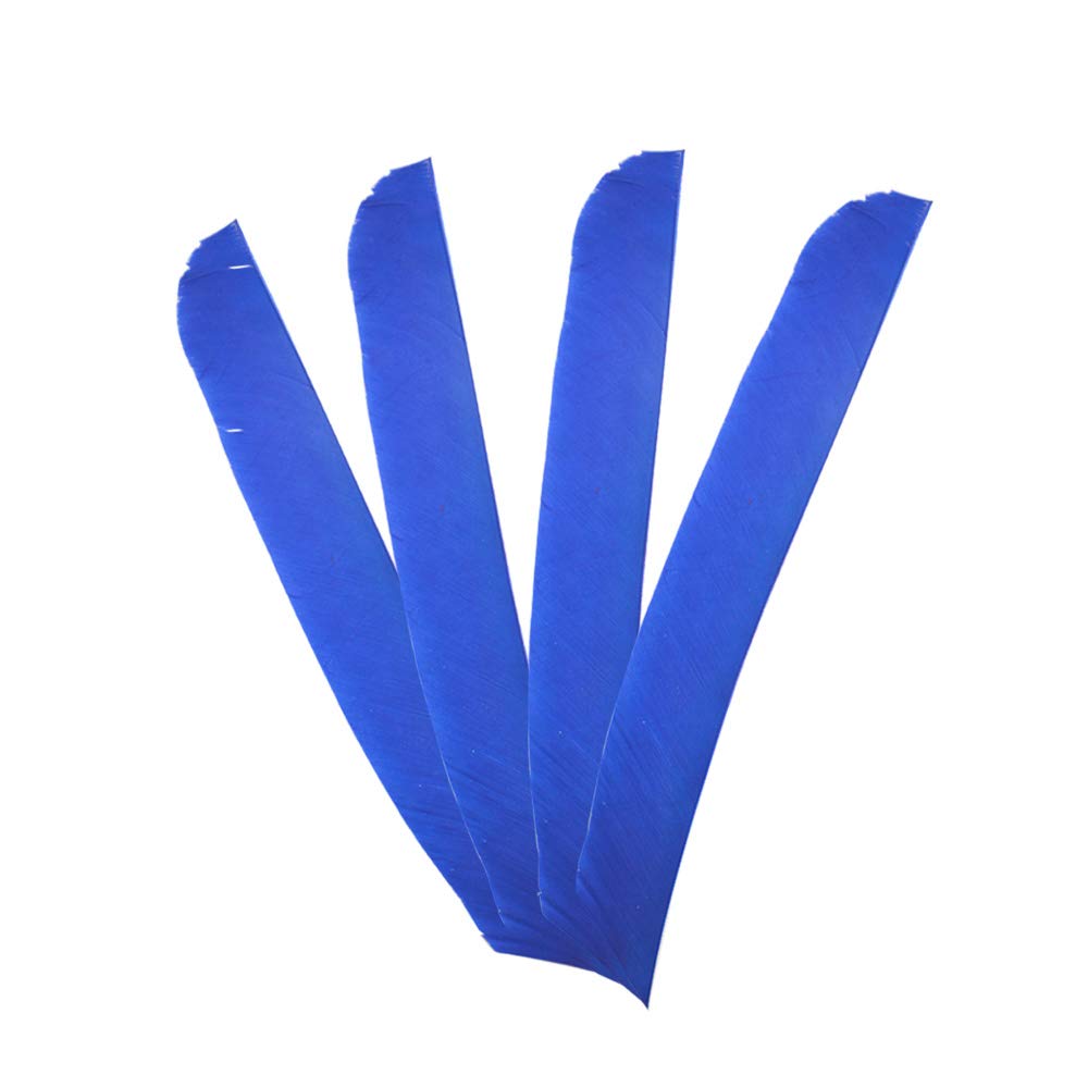 HNZMDY 50 Pcs Archery Arrow Fletching Spiral Wrap Full Length Arrow Feather 7~10" Right Wing and Left Wing for Flu Flu Arrows (Left wing, Blue)