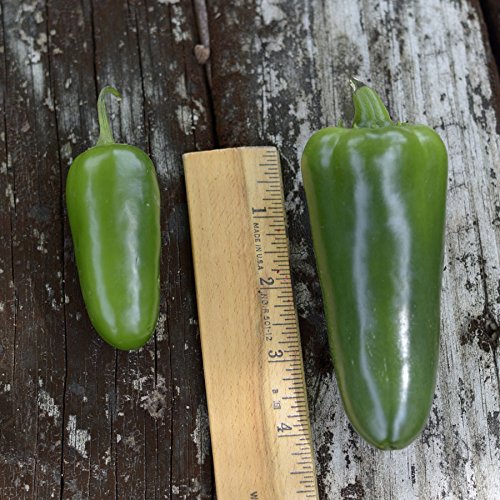 Park Seed Park's Whopper Jalapeno Pepper Seeds, Pack of 15 Seeds