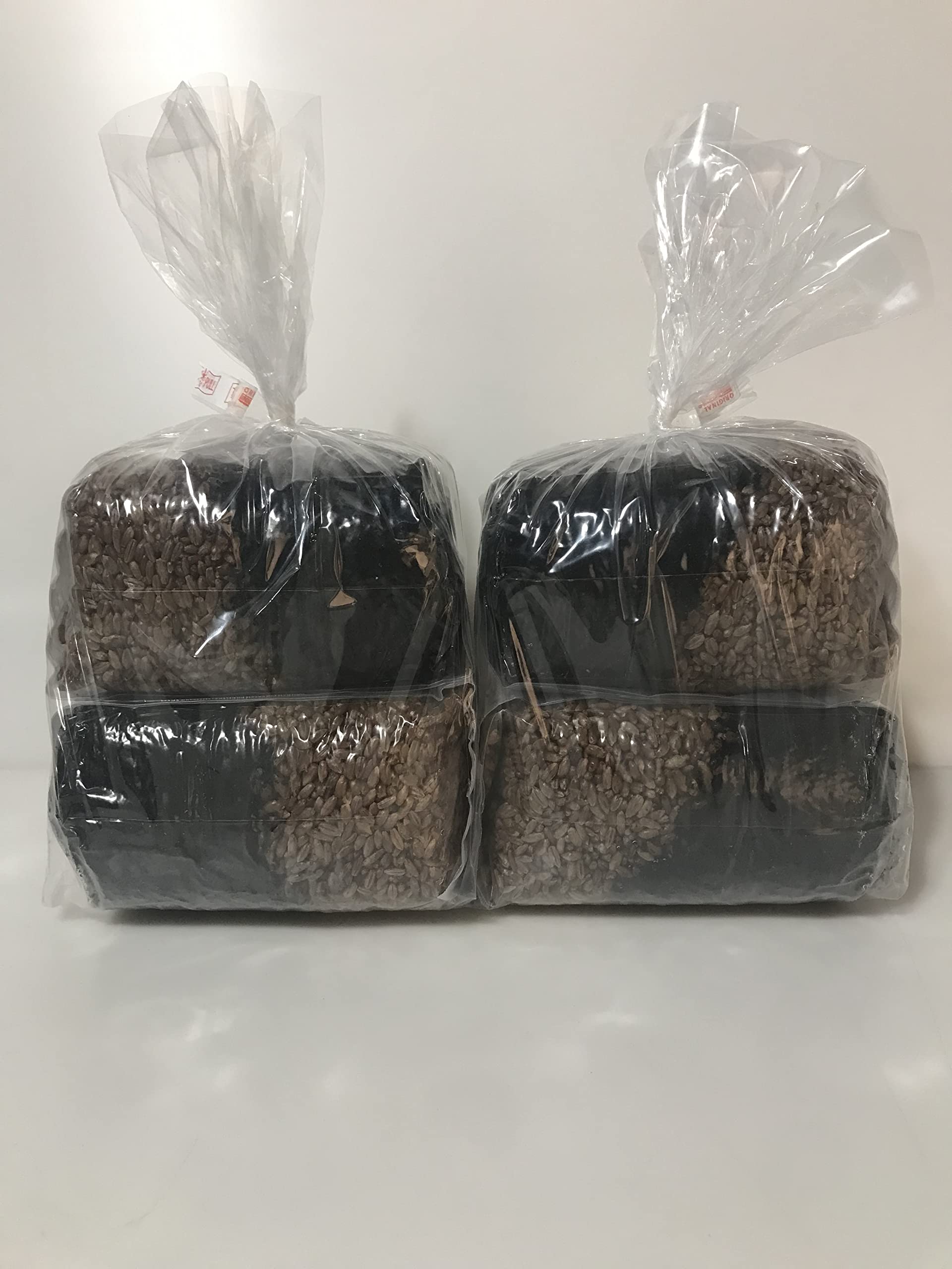 Mushroom Grow Kit - Magic All in One Mushroom Grow Bags - 4 Pack