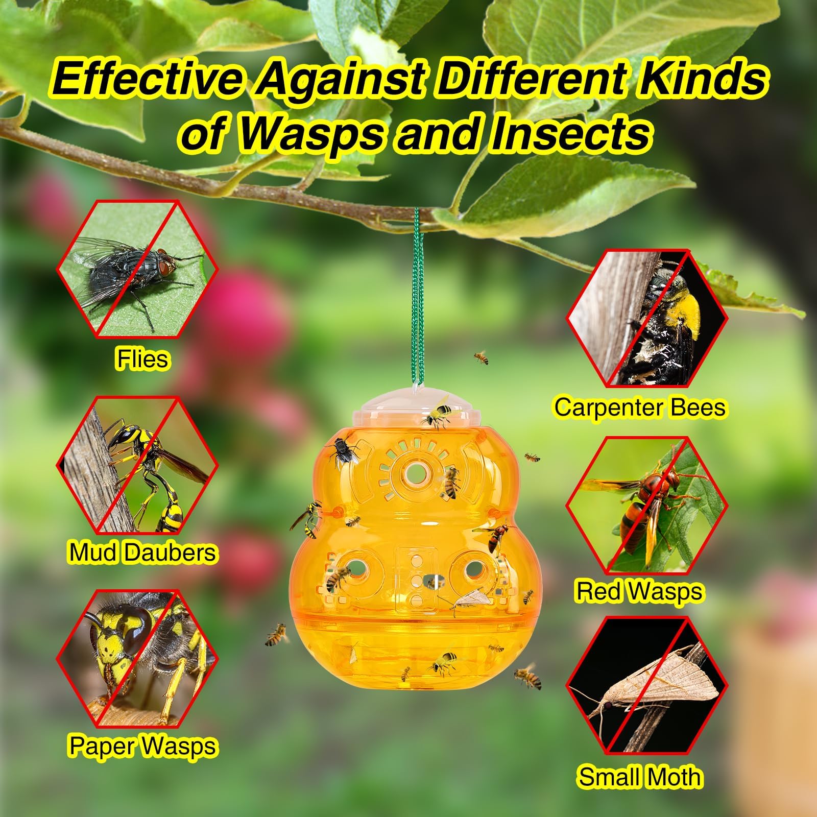 Wasp Trap with 2 Baits β Reusable Hornet Catcher for Outdoor Use, Effective Carpenter Bee Deterrent, Ideal for Gardens and Patios 2 Packs