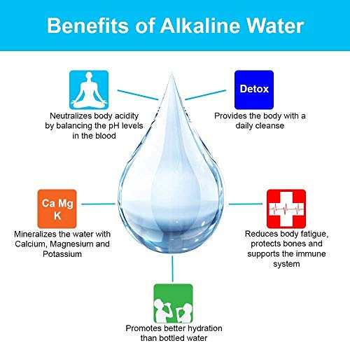 Premier Water Systems Portable Counter Top Alkaline Reverse Osmosis Water Filtration System - 50 GPD