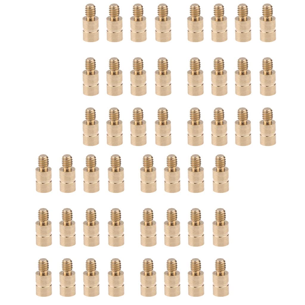 LEIPUPA 48 Pieces 25 Grain Brass Weight Screw Point Inserts Accessory