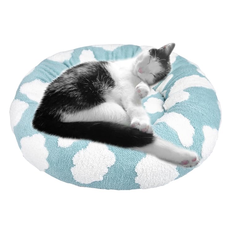 Whiskers & Friends Cat Bed, Cat Beds for Indoor Cats Washable, Small Dog Bed Calming Pet Bed, Cat Beds & Furniture, Large Cat Bed, Kitty Kitten Bed