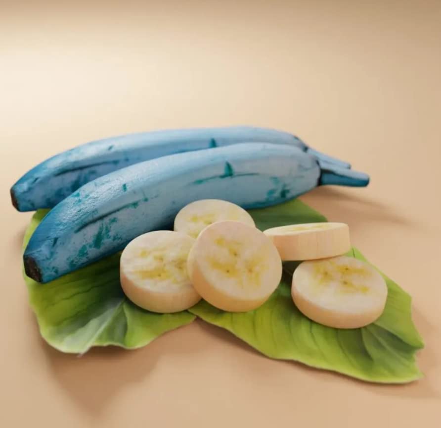 Ice Cream Banana Tree, Blue Java Banana Plant Live, Edible Fruit Tree for Planting 4 to 6 Inches
