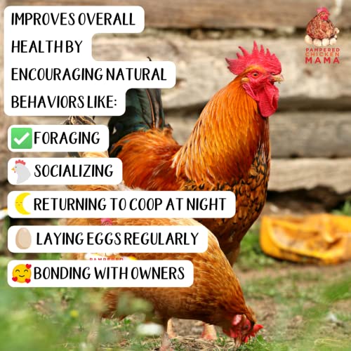 Vital Nutrients: Chicken Vitamins for Feed & Molting Supplement, Egg Booster, Poultry & Chicken Vitamins - Pampered Chicken Mama (1.5 pounds)