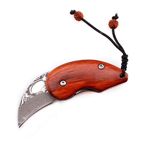 Samior Small Penguin Damascus Mini Karambit Folding Pocket Knife, 1.38" Claw VG10 Blade with Thumb Hole Open, Rosewood Handle with liner Lock and Lanyard Leather Sheath, 2.1oz