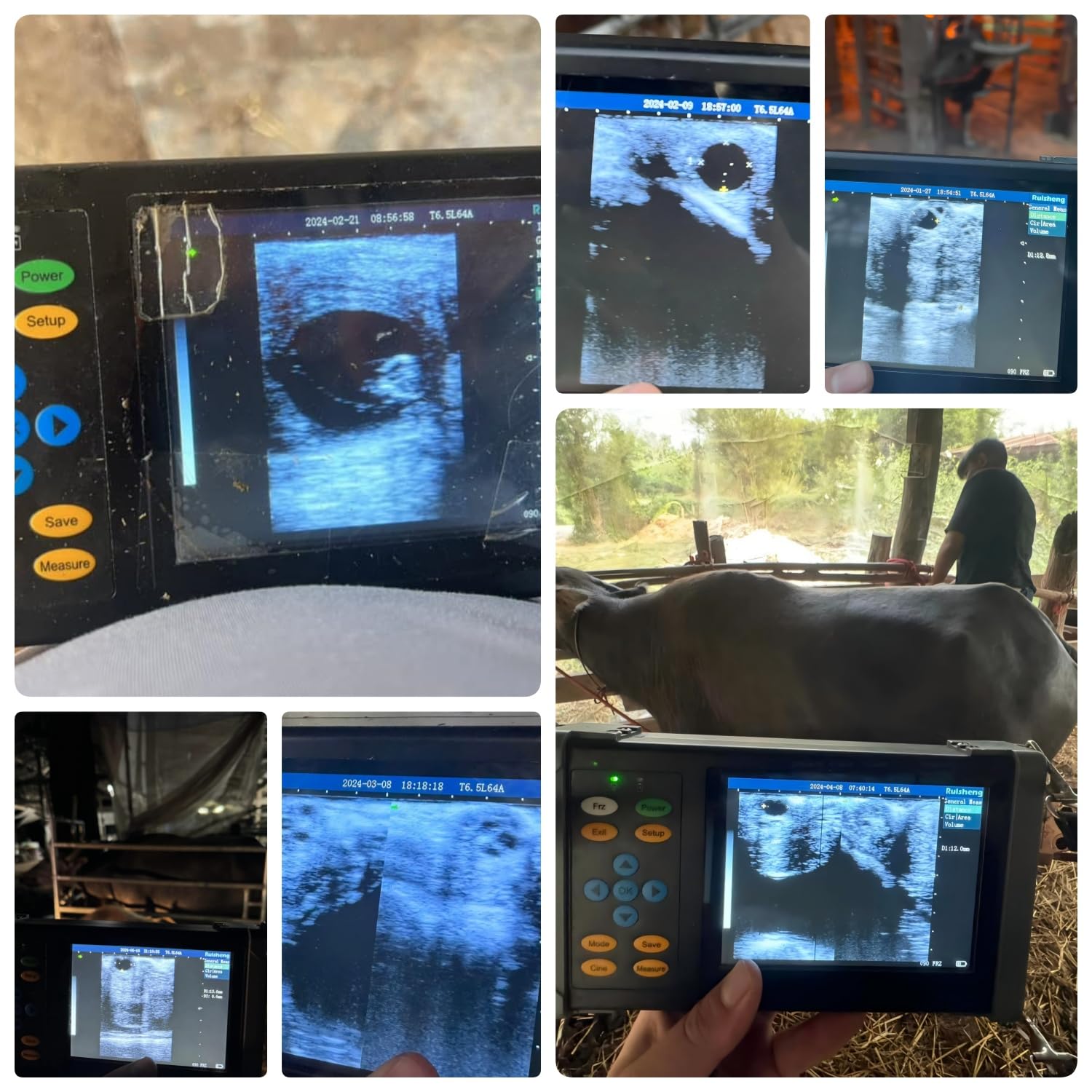 SUNBESTA A20 Veterinary Ultrasound Machine for Pregnancy, at Home Ultrasound for Dogs, Cats, Pigs, Sows, Sheep, and Goats Pregnancy Check (Convex Probe)