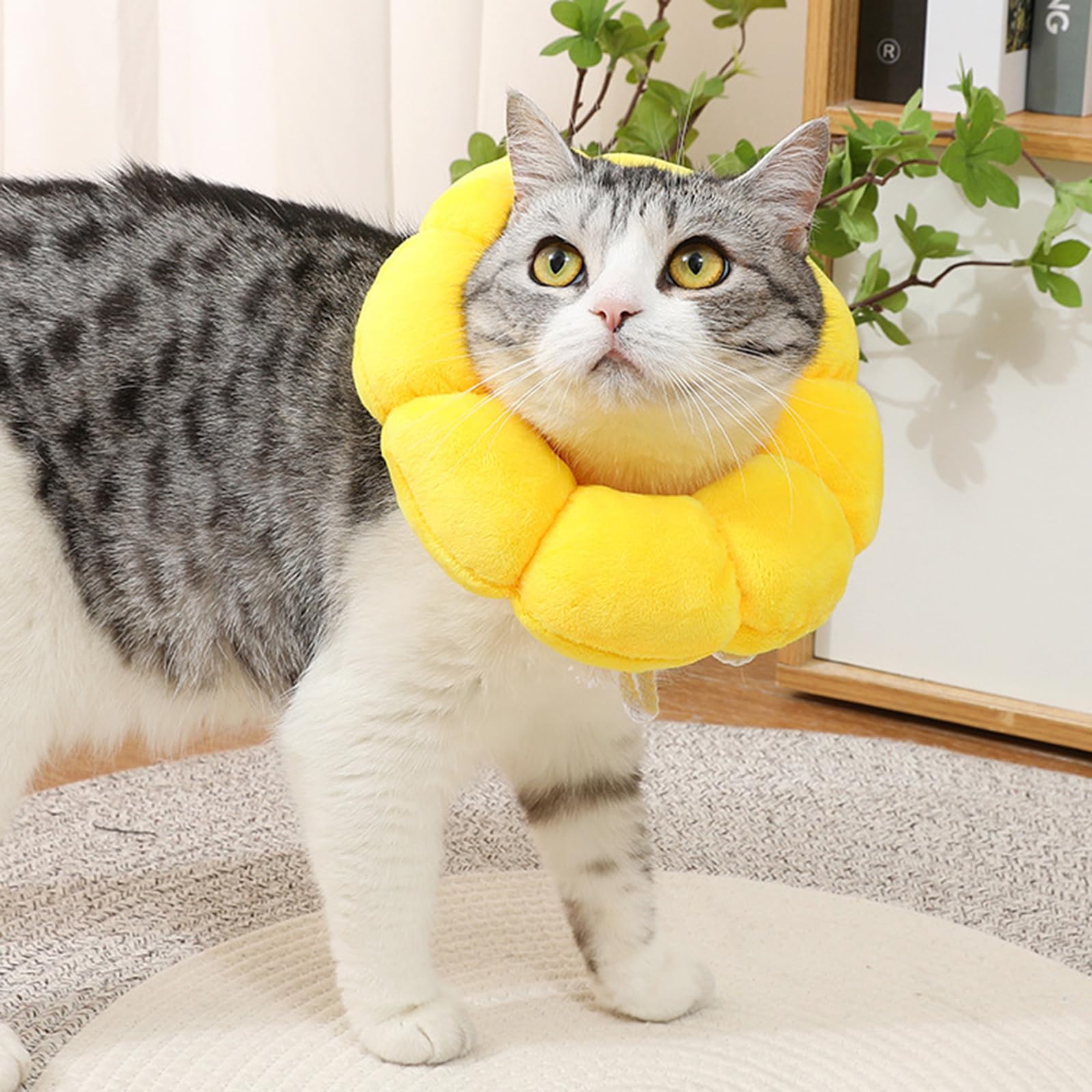 XINAJUND AntiBiting Injury Flower Elizabethan Collar for Cats Dog Soft Collar Pet Wound Recovery Licking Supply