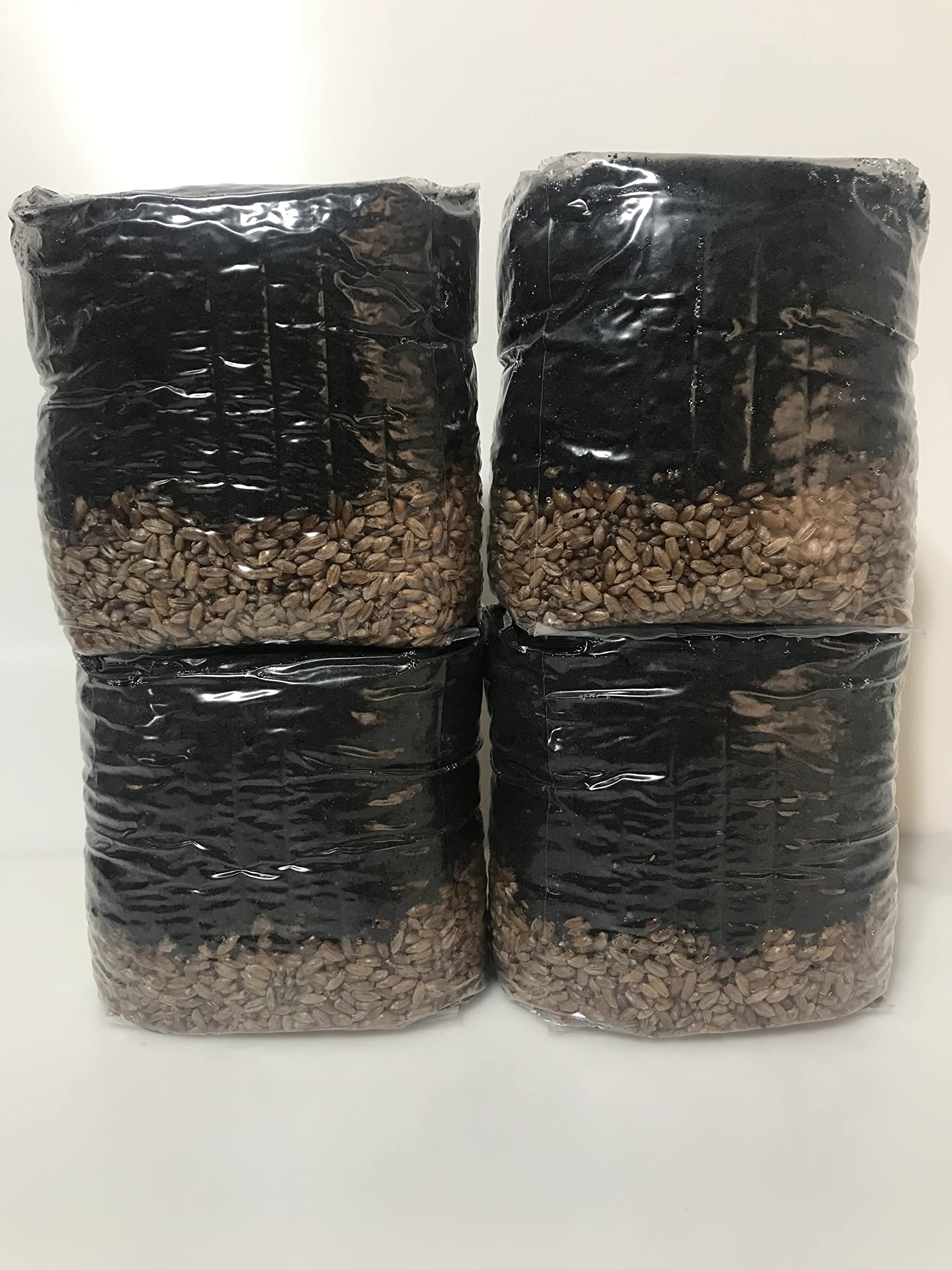 Mushroom Grow Kit - Magic All in One Mushroom Grow Bags - 4 Pack