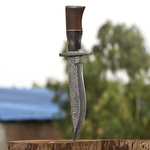 JNR Traders Damascus Steel Full Tang Fixed Blade Hunting Knife with Leather Sheath - 3079