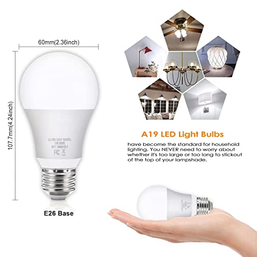 Yochoice 12Pack A19 LED Light Bulbs 100 Watt Equivalent 5000K Daylight White, No Flicker E26 Medium Screw Base Bulbs, 1100Lumens, Non Dimmable