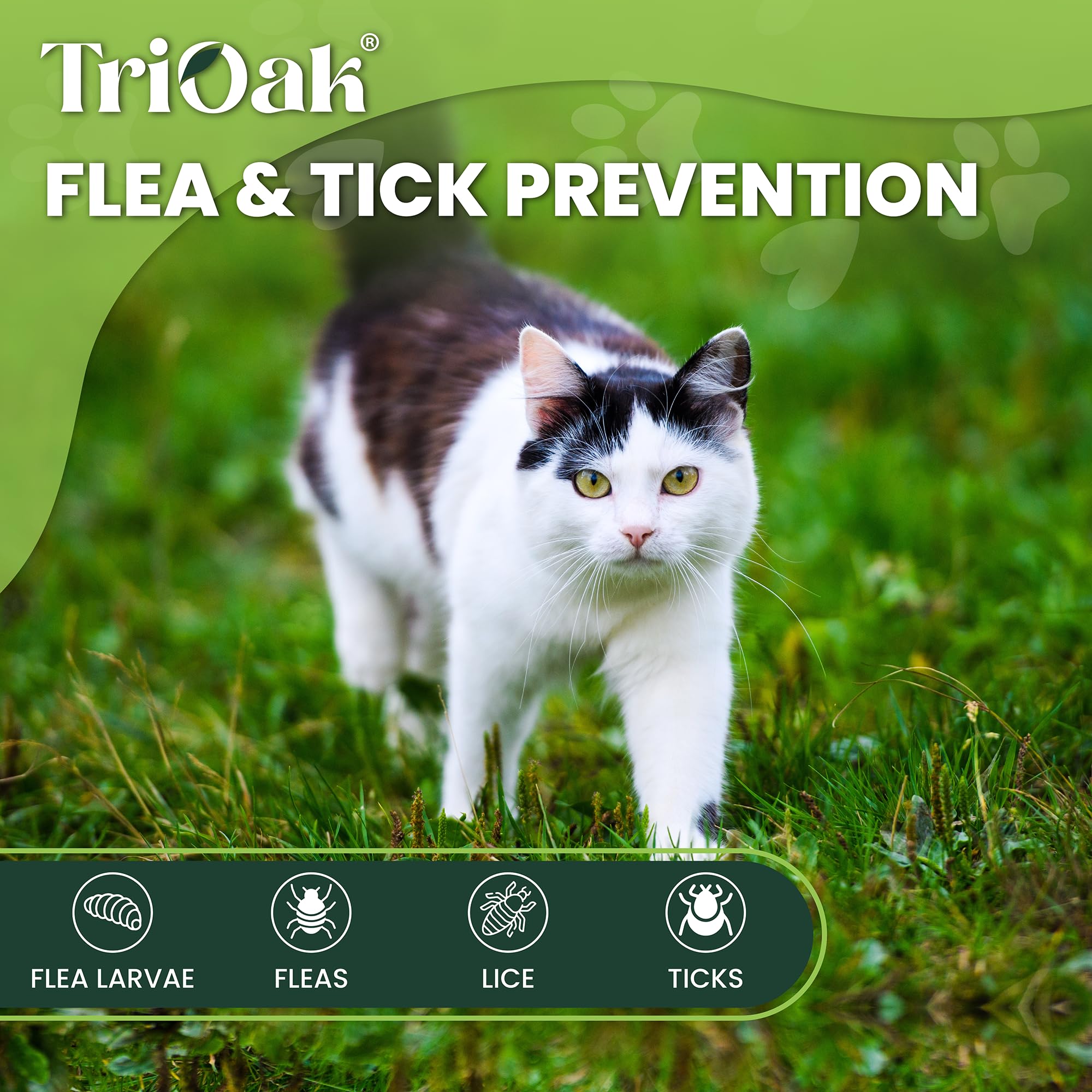 TRIOAK Cat Flea Treatment & Prevention, Flea Prevention for Cats, 6-Month Supply