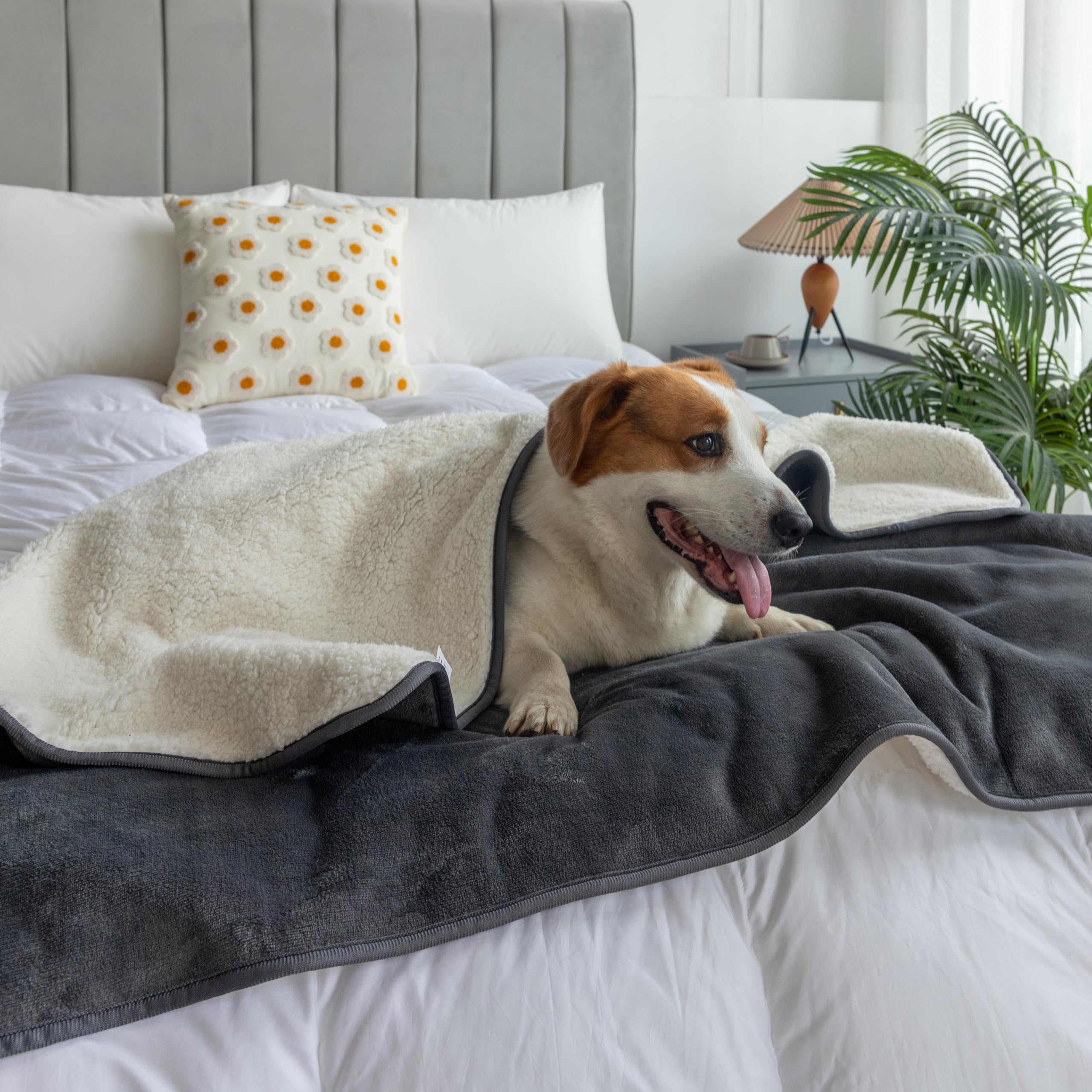 Walverdant Waterproof Dog Blanket for Large Dogs, Dog Bed Cover for Bed Couch Sofa, Liquid Pee Proof Pet Blanket Washable, Soft Reversible Sherpa Fleece Blanket Furniture Protector(Gray, 80"x 60")