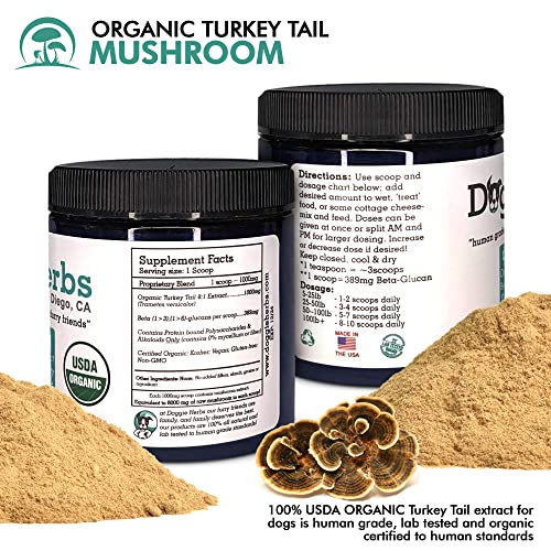 Ultimate Turkey Tail 8:1 Extract by Doggie Herbs – 389mg Beta Glucan per 1g Scoop (39%), Contains ONLY Polysaccharides – 100g