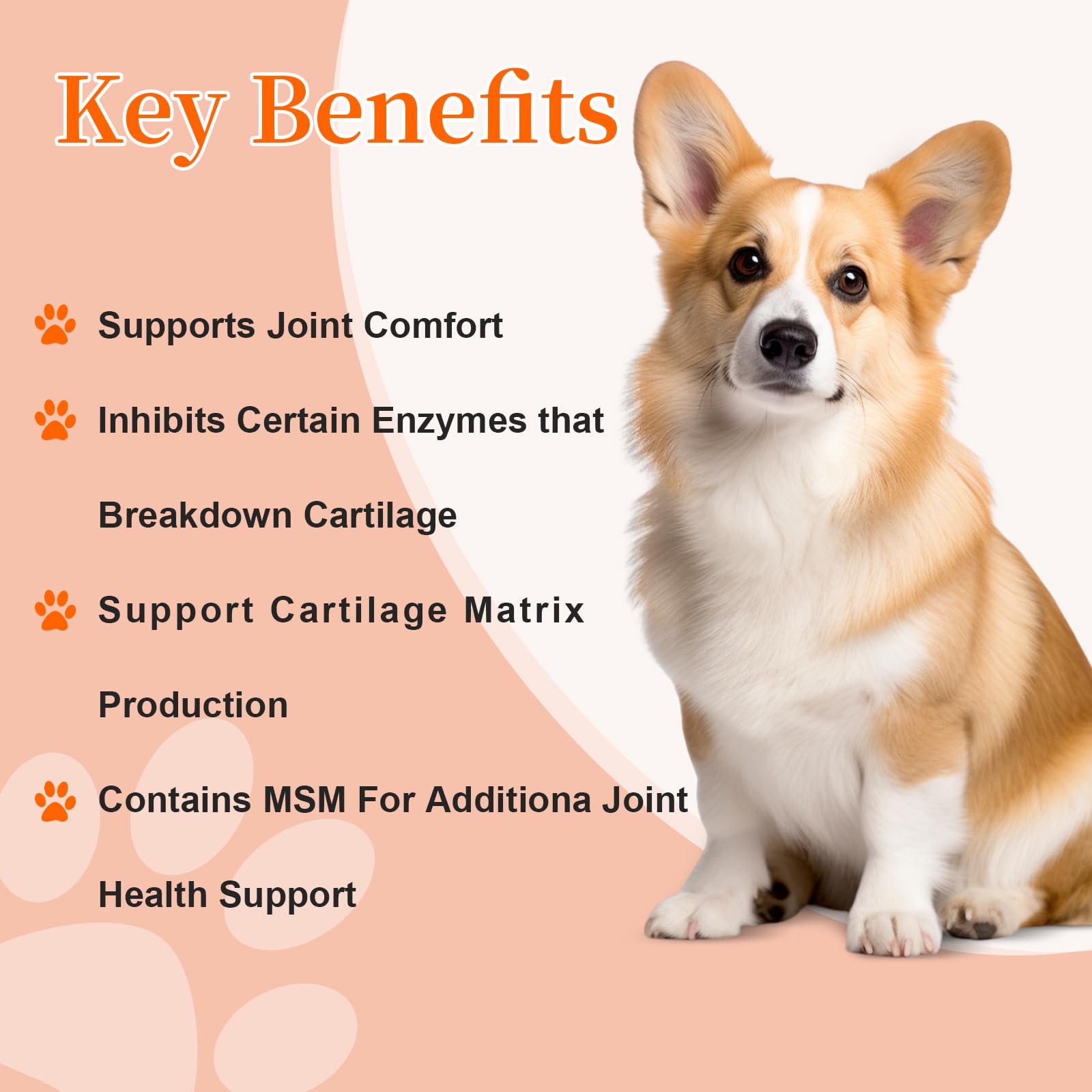 Wiffypets Hip and Joint Supplement Dogs with Glucasamine for Dogs, Hip Pain Relief for Small, Medium and Large Breed, Hip and Joint Chews for Dog MSM, Chondroitin 90 Count, Chicken Flavor
