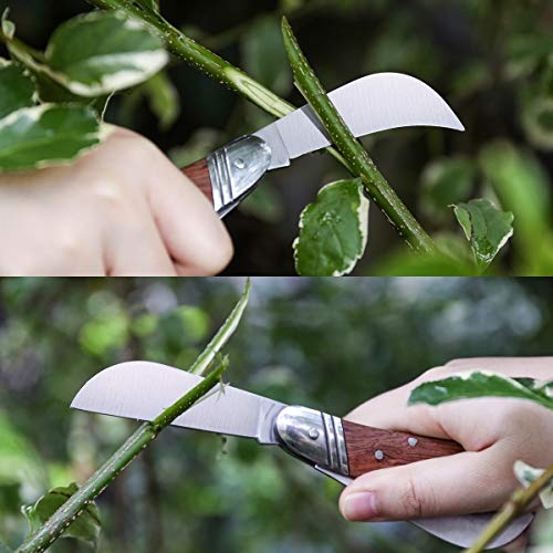 Pruning Knife, Double Blade Grafting Knife, Stainless Steel Garden Budding Knife, Linsen-outdoors Folding Pocket Knife for Grafting Multi Cutting Tool, Weed Bushes Branches Mushroom Diggig Knife
