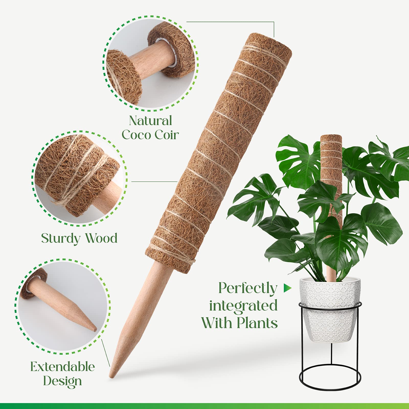 Pisol Moss Pole for Plants Monstera, Extendable Plant Sticks Support, Plant Stakes for Indoor Potted Plant, 15.7'' Coco Coir Pole Plant Trellis for Sphagnum, Pothos and Other Climbing Plants(2 PCS)