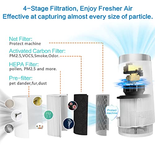 TREDY HEPA Filter Air Purifier for Home Large Room, H13 True HEPA Filter for Smoke, Dust, Hair, Pet Dander, Pollen, Ozone Free, Quiet, TD-1300