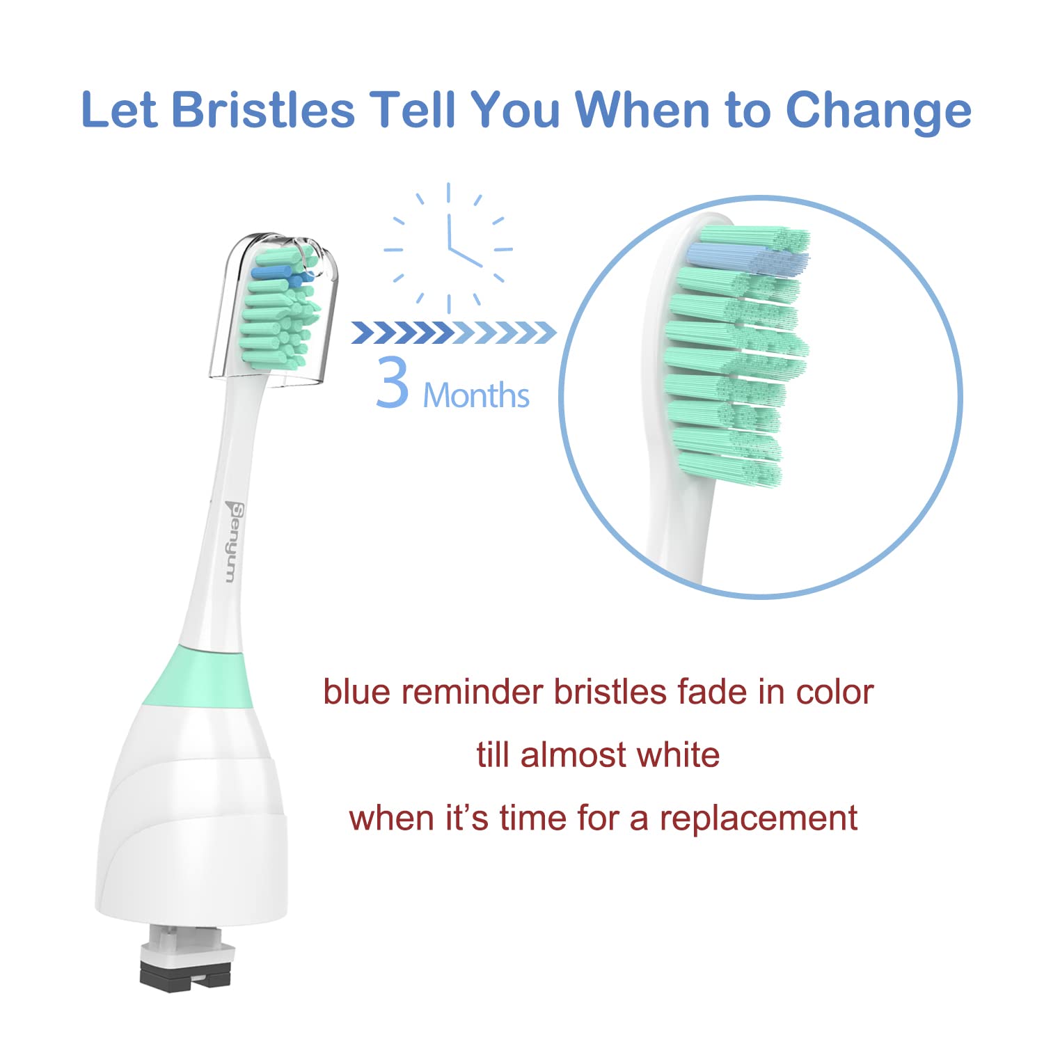 Senyum Replacement Toothbrush Heads Compatible with Philips Sonicare Electric Toothbrushes Screw-on, 8 Pack