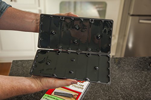 Tomcat Rat Size Glue Traps, 2-Pack (Original Formula)