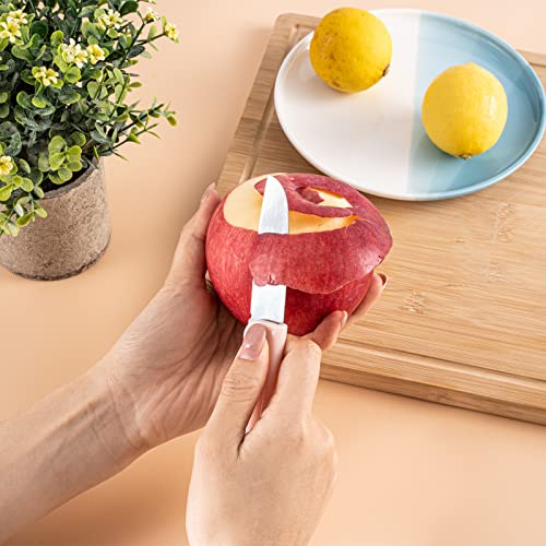 Sumteene Paring Knife, 4 Pcs Folding Knife, 3" Vegetable and Fruit Knife, Stainless Steel Small Kitchen Knife for Cooking, Peeling, Slicing, Picnics, & Travel, Pink/Green/Blue/Light Green