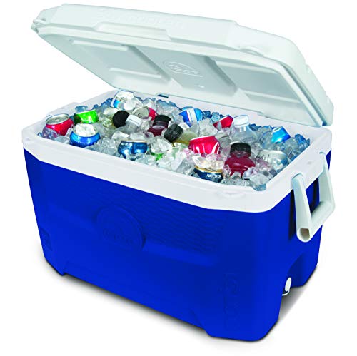 Igloo Quantum, Blue/White, 55 Qt (00049730)