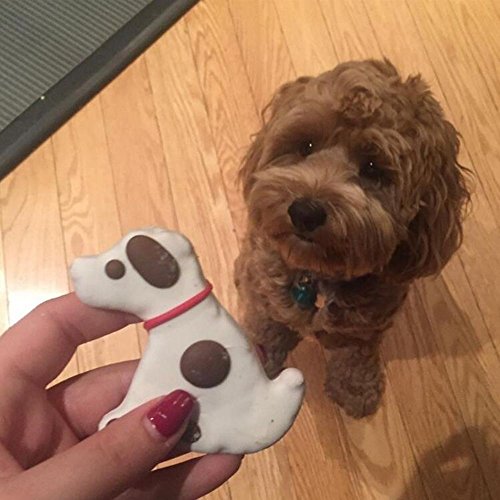 Puppy Dog Paw and Bone Shaped Cookie Cutter, Stainless Steel Biscuit/Fondant Molds Homemade Baking Tools by EORTA for Kids, Party, Dishwasher Safe, Set of 5