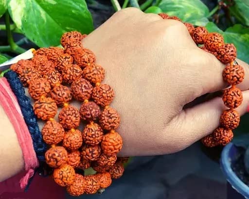 IS4A Nepali Rudraksha Mala with Certificate for Wearing and Japa Mala (5 Mukhi Mala, 108 Beads Mala).