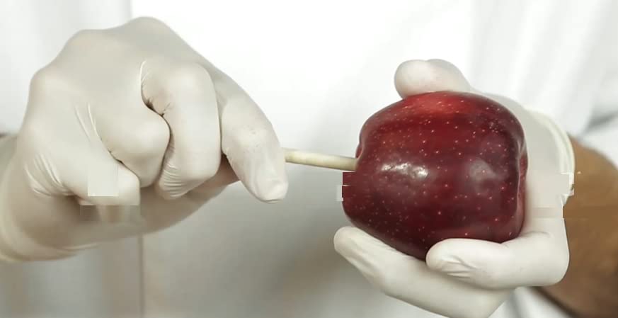Oasis Supply Apple Candy Containers - 20 Paper Candy Apple Sticks + 20 Candy Apple Bubble Containers β Supplies for Candy Packaging