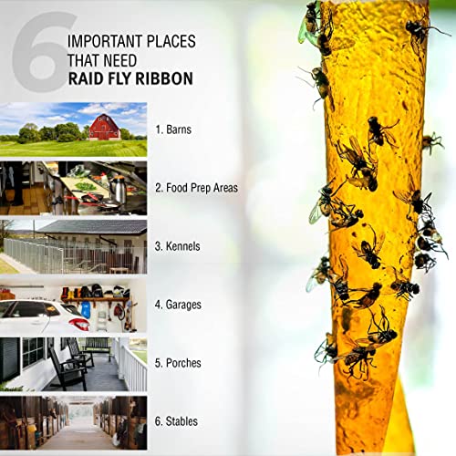 RaidĀ® Fly Ribbon, Fly Traps for Indoors and Outdoors, 4 Pack