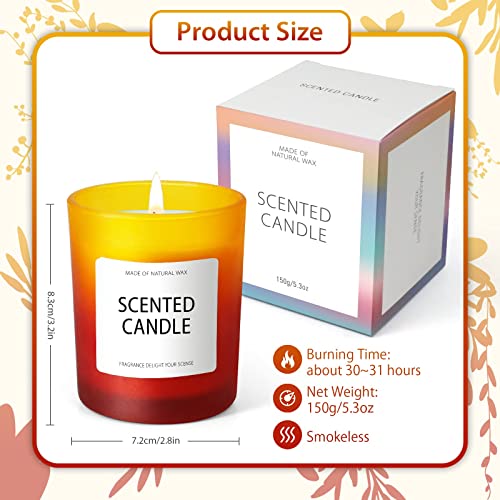Scented Candles Set City of Stars, Endless Summer, Sunset Boulevard/Jar Candle Rose of Desert