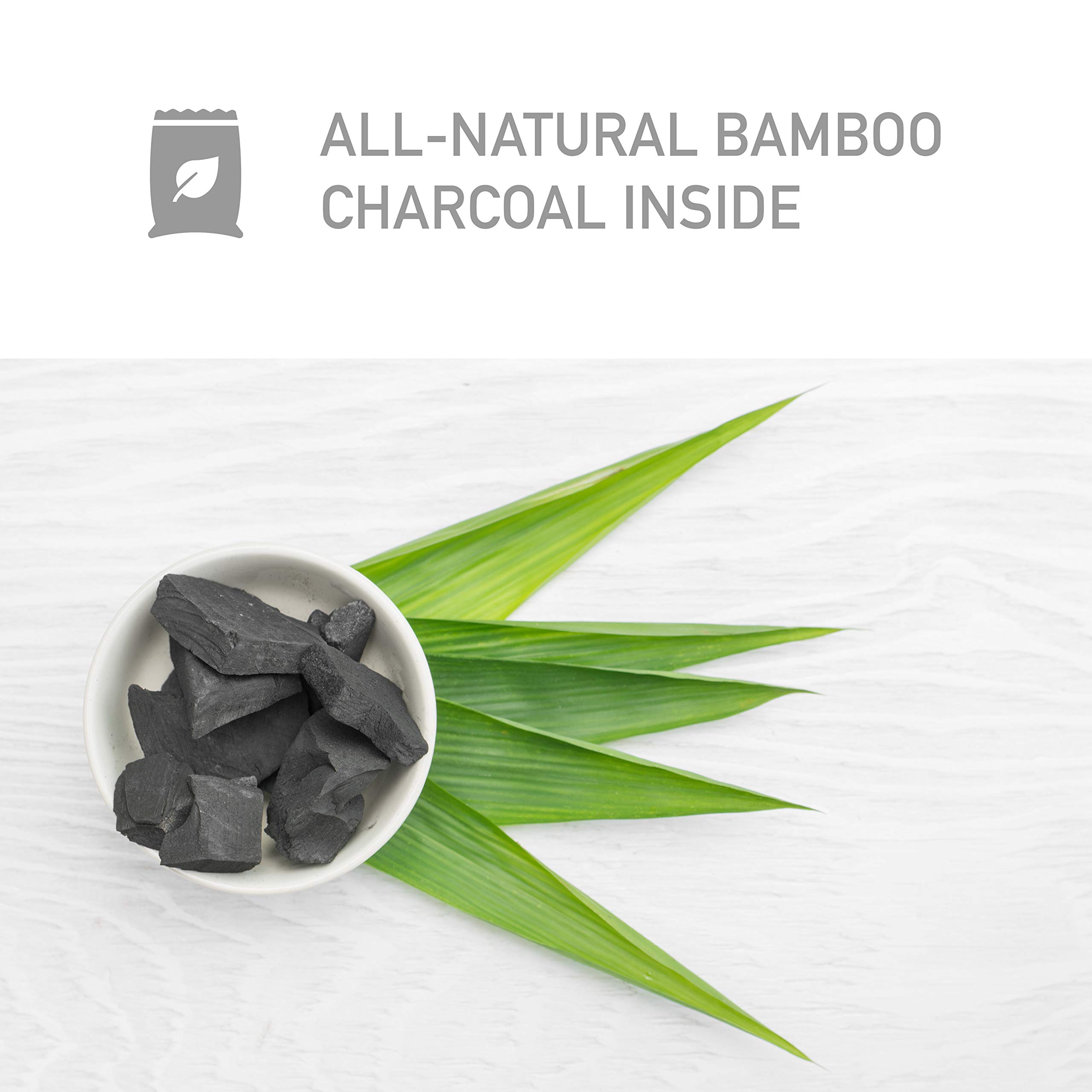 PureGuardian CB200 Bamboo Charcoal Air Purifying Bag, Eco-Friendly, Naturally Absorbs Odors, Excess Moisture and Pollutants, 200g, 4-Pack, Gray