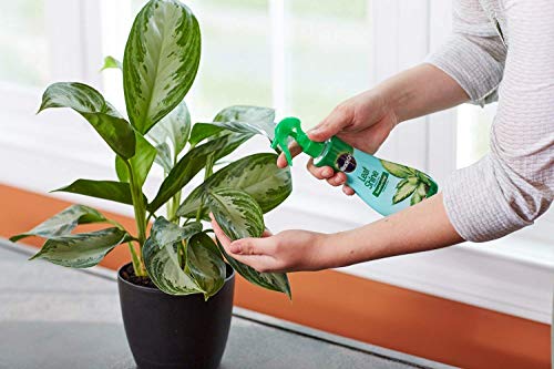 Scotts Leaf Shine, 8-Ounce (6 Pack)