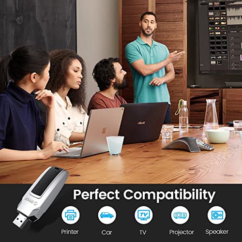 ORICO USB 3.2 Flash Drive 256GB, Memory Stick 256GB 100 MB/s Reading Thumb Drive with Keychain USB Flash Drive Metal USB Drive Data Storage Compatible with Computer/Laptop(U3)