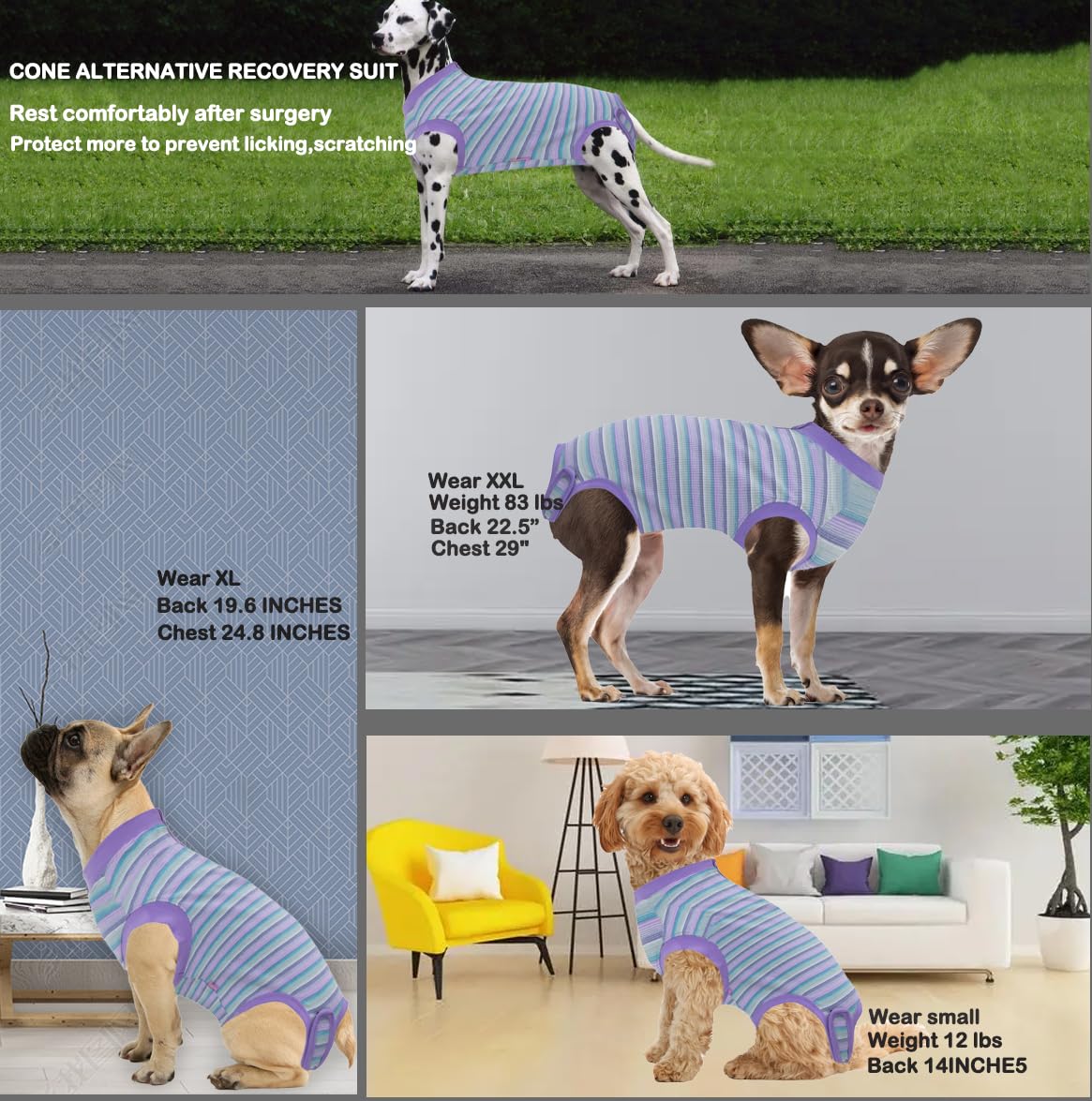 Wabdhally Dog Surgery Recovery Suit,Surgical Recovery Female Spay Suit for Medium Dogs Cats,Surgery Recovery Multi Purple Onesie M