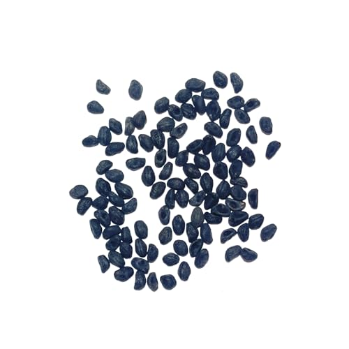 Seed Needs, Cardinal Climber Seeds - 100 Heirloom Seeds for Planting Ipomea Quamoclit - Open Pollinated & Untreated, Attracts Pollinators (2 Packs)