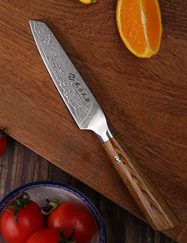 Paring Knife 3.8Inch Damascus Steel Knife Professional Super Steel VG10 Comfortable Ergonomic Wood Grain Handle Very Sharp Paring Knives for KitchenâGift Box