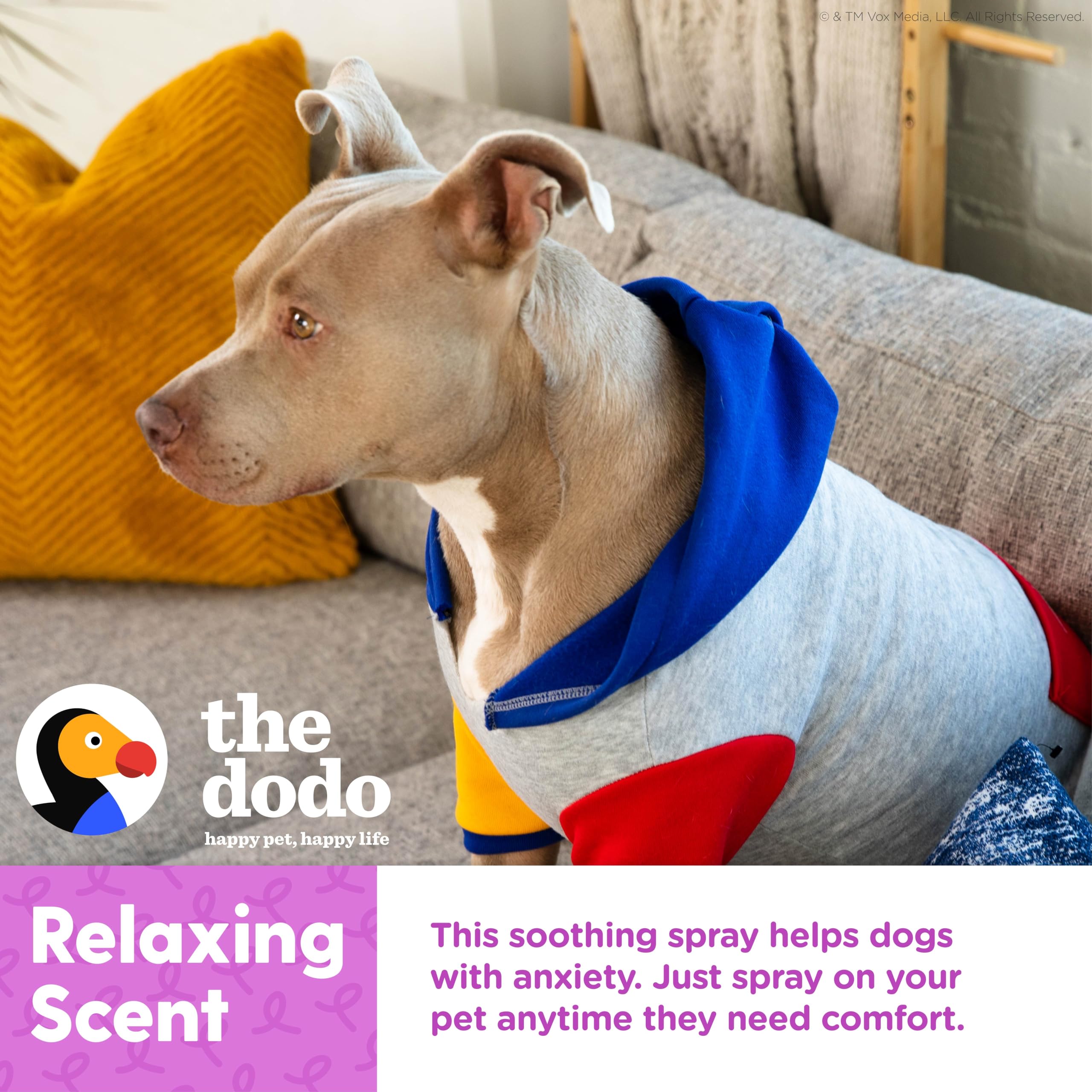 The Dodo Calming Spray for Dogs, Soothing Lavender Scent with Lavender and Chamomile