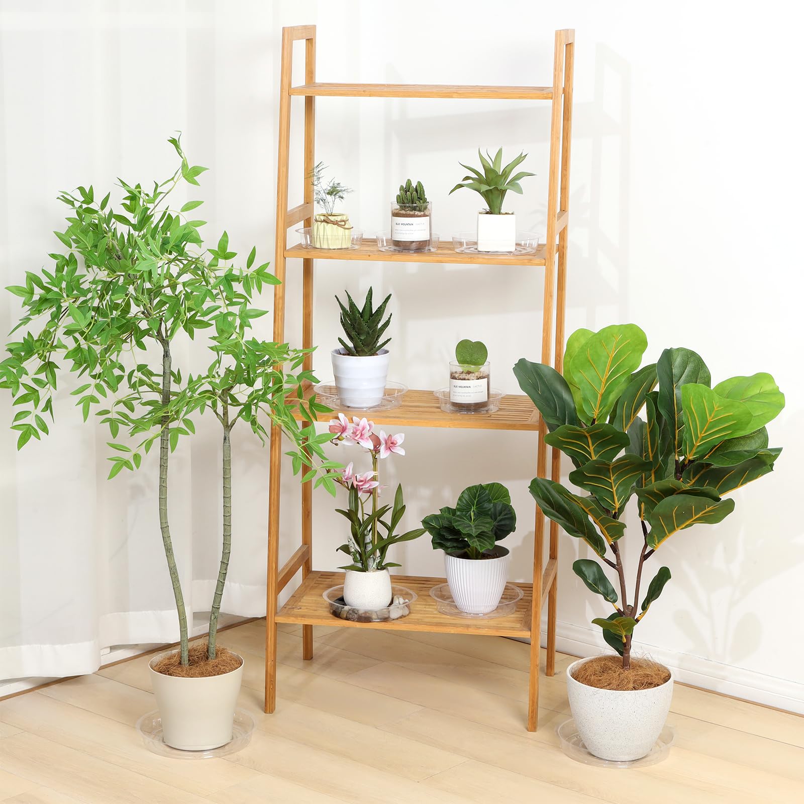 REXOS 40 Pack 6 Inch Clear Plant Saucers, Durable Plant Trays for Pots, Plastic Plant Pot Saucers for Indoors & Outdoors