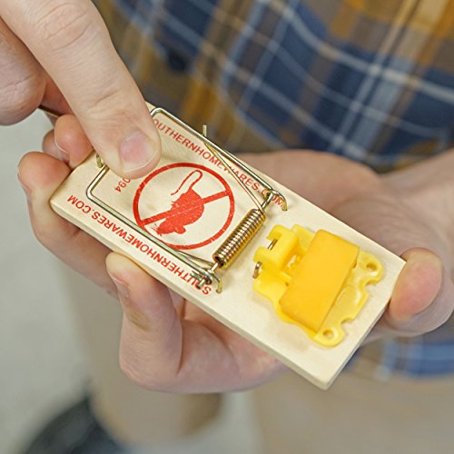 Southern Homewares Wooden Snap Rat Trap Spring Action with Expanded Cheese Shaped Trigger 5 Pack