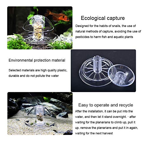 Snail Catcher, Snail Trap Catcher Plastic Leech Planarian Pest Catch Box for Aquarium Fish Plant Tank(3 PCS/3.15inch)