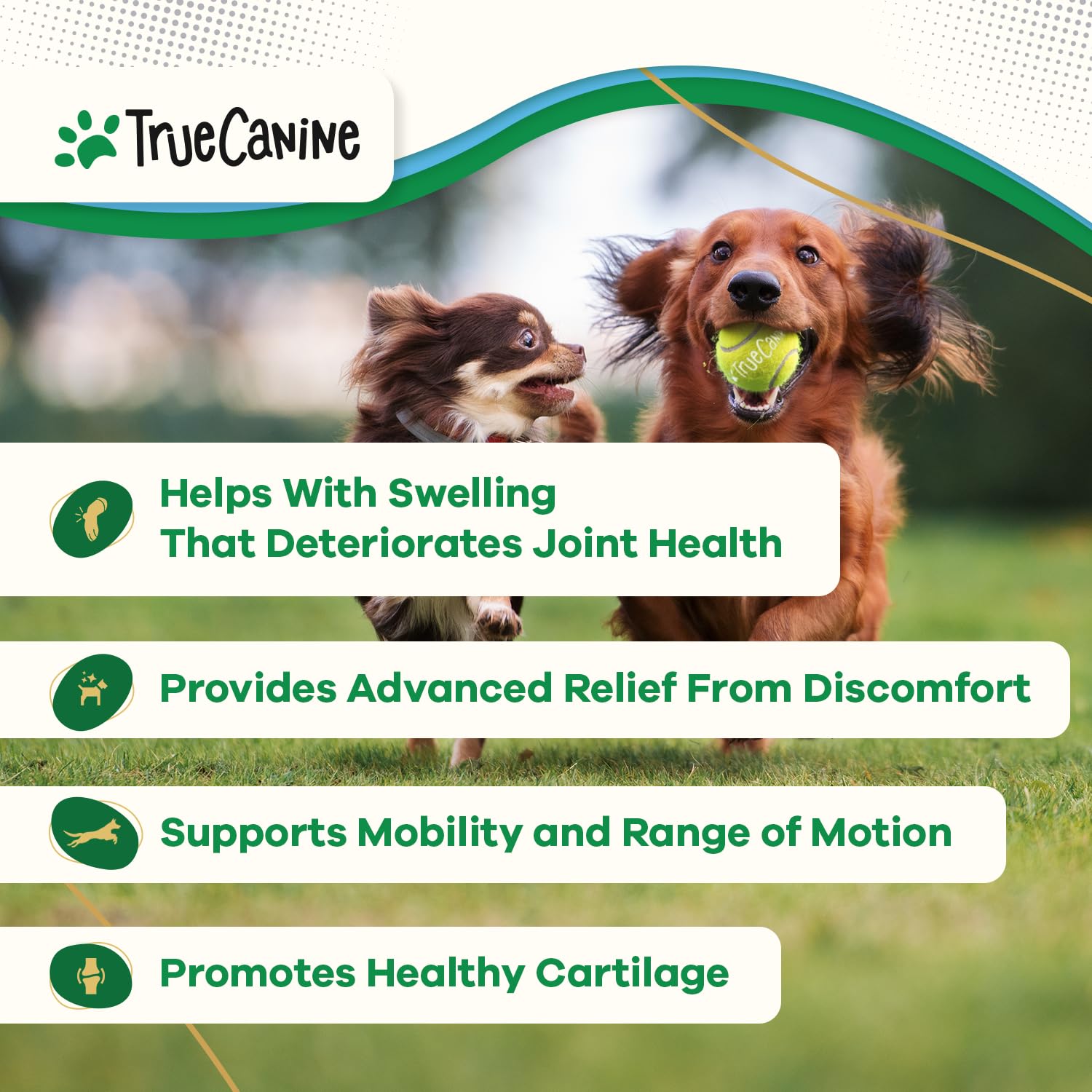Wild Belly and New Flex TrueCanine - Probiotics and Joint Supplement for Dogs