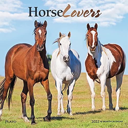 Horse Lovers 2022 12 x 12 Inch Monthly Square Wall Calendar by Plato, Animals Horses Equestrian