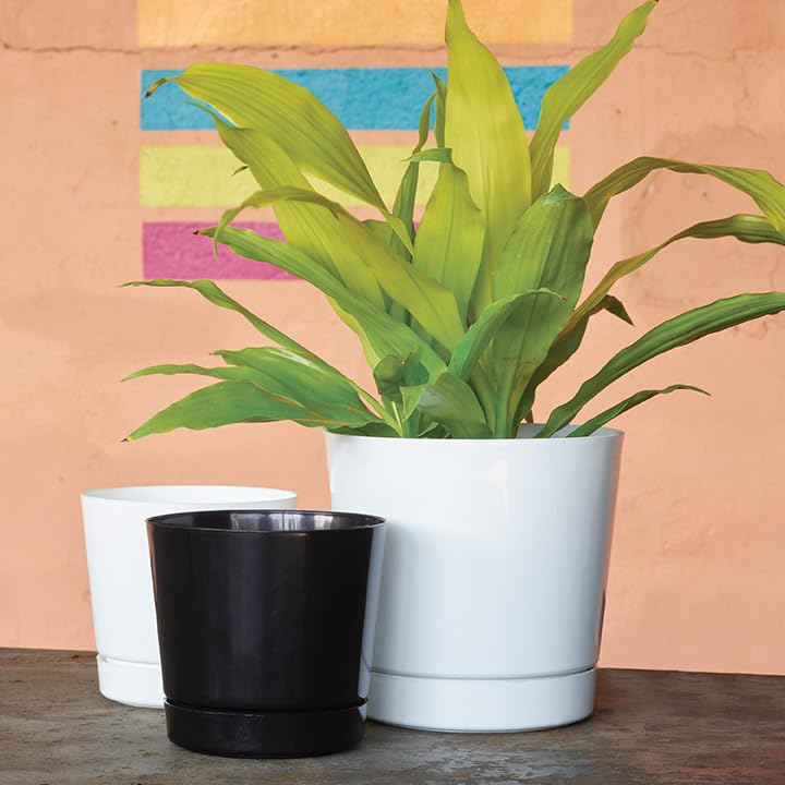 Novelty Majestic Full Depth Cylinder Pot, Glossy White, 14-Inch (10142)